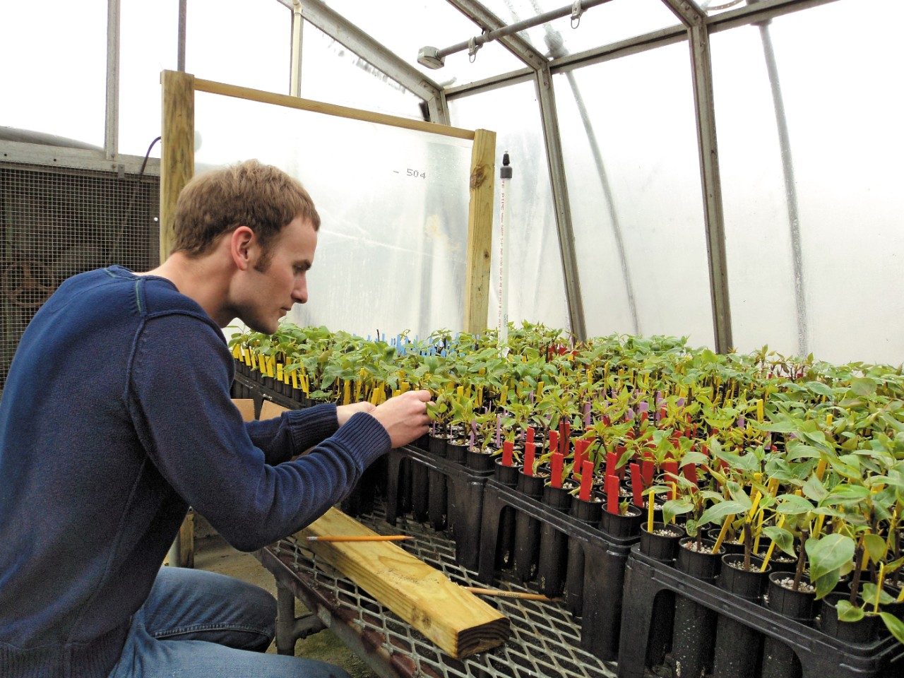 Forensic Botany Used in Murder Investigation | College of Natural ... Forensic Botany Used in Murder Investigation | College of Natural ...